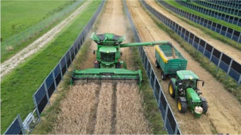 Exploring Bifacial Solar Panel Advantages From Every Angle - News