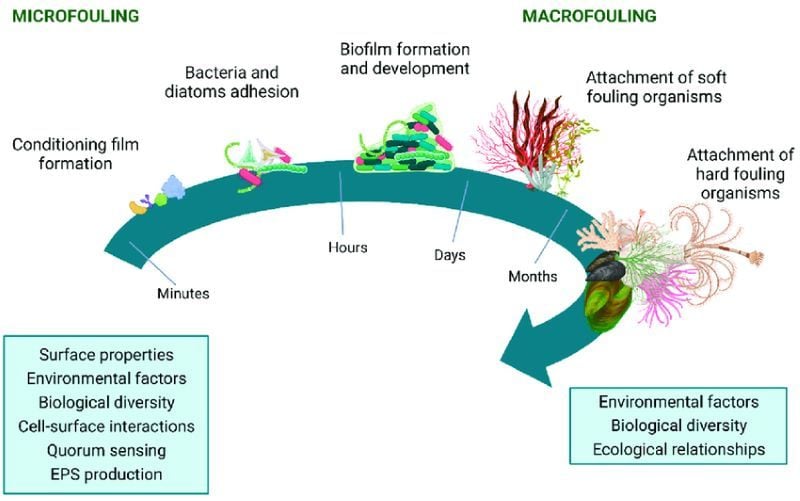Breaking Through Biofouling To Enable Underwater Solar - Tech Insights