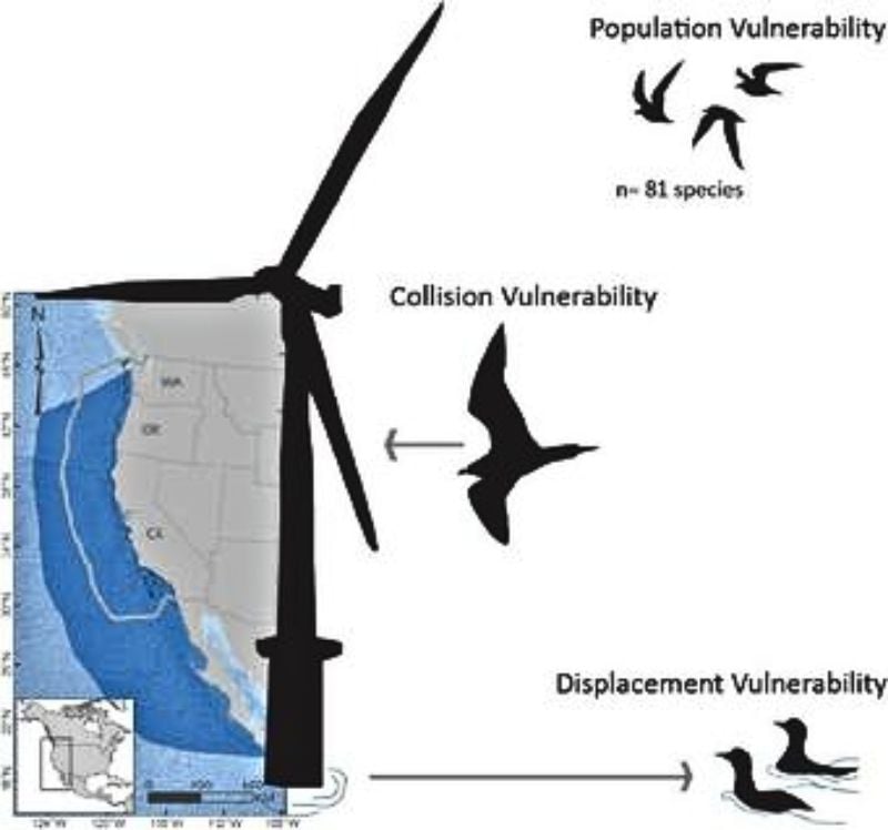 Birds and Blades: Floating Radar Stops Offshore Wind Collisions - News