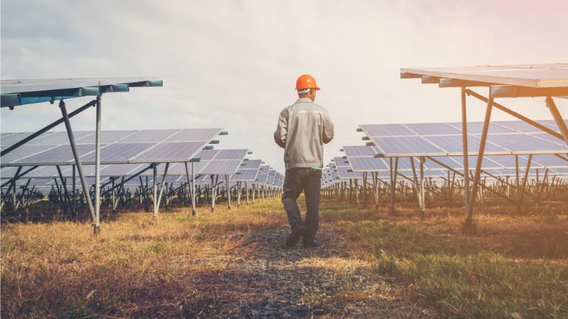 Solar Struggles Amid Changes in Demand, Policies - Tech Insights