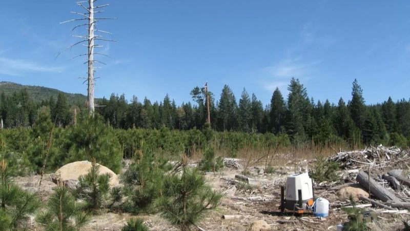 Lidar Watches the Wind To Optimize Turbine Placement - Tech Insights