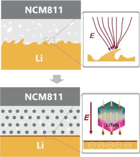 Pioneering Advances in Solid-State Electrolytes - Tech Insights