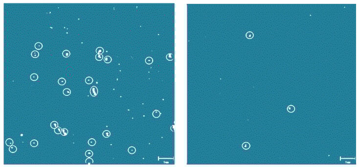 Game Changers in SiC Power Device Performance and Reliability ...
