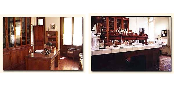 Marie Curie: Dual Nobel Prize Recipient - Tech Insights