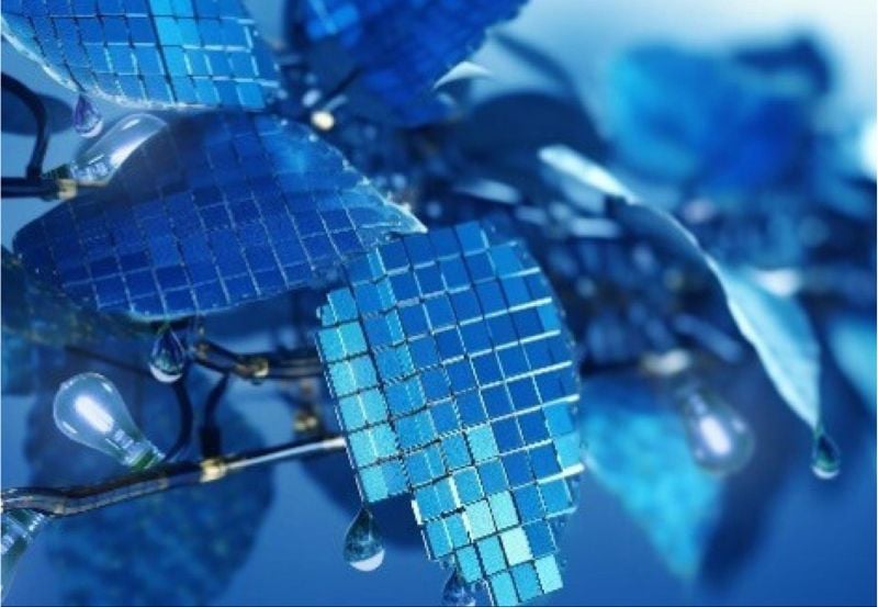 Hybrid PV Leaf Design Beats the Efficiency of Conventional Solar Panels ...