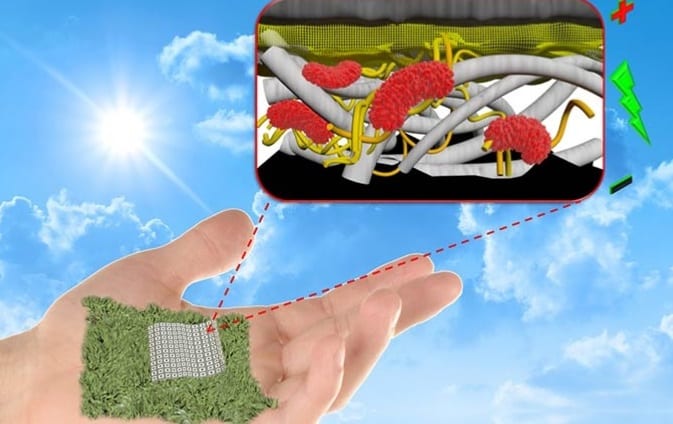 Biodegradable, Hybrid Paper-Based Biobatteries - News