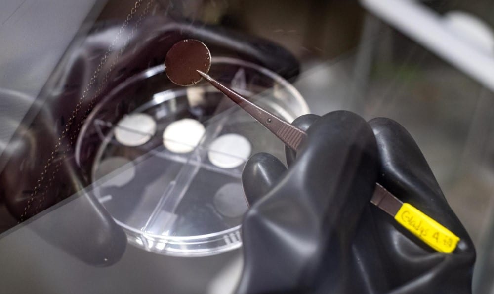 Carbon Nanotubes may enable Fast-Charging Lithium-Metal Batteries - News