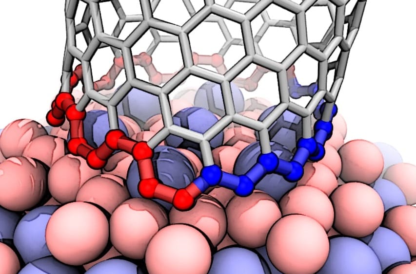 Growing Identical Carbon Nanotubes Not as Simple as Hoped - News