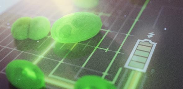 Harnessing the Power of Algae for Greener Biophotovoltaics - News