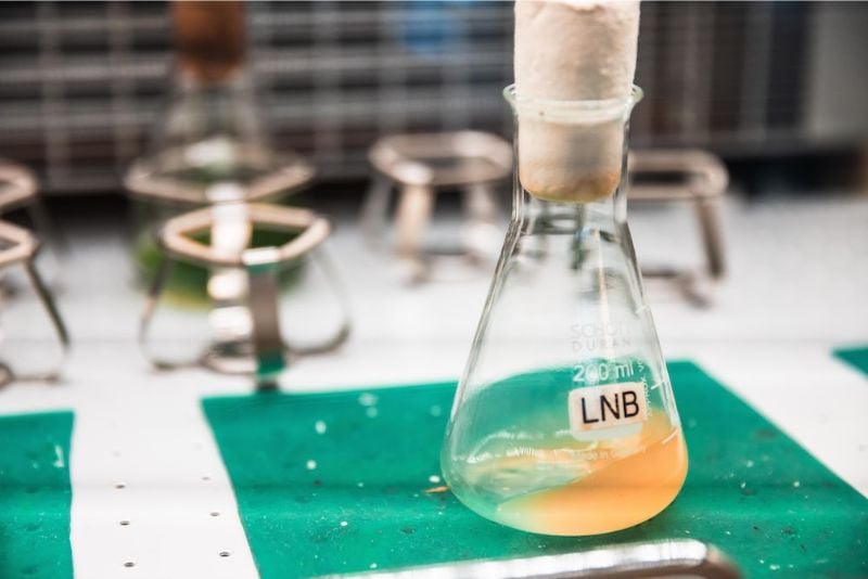 Engineering Bioelectric Bacteria to Produce Renewable Energy - Tech ...