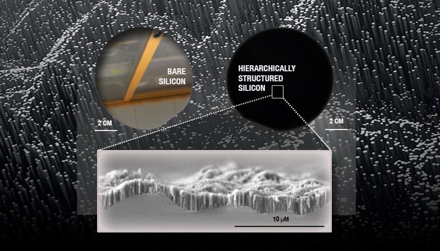 Reducing Reflectivity in Solar Cells and Optics with Micro- and ...