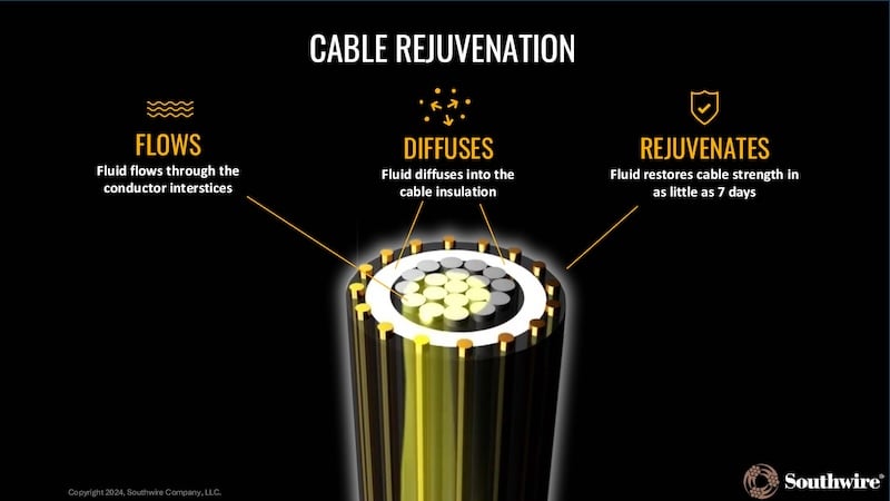 Giving A Second Life to Aging Cables: Understanding Cable Rejuvenation ...
