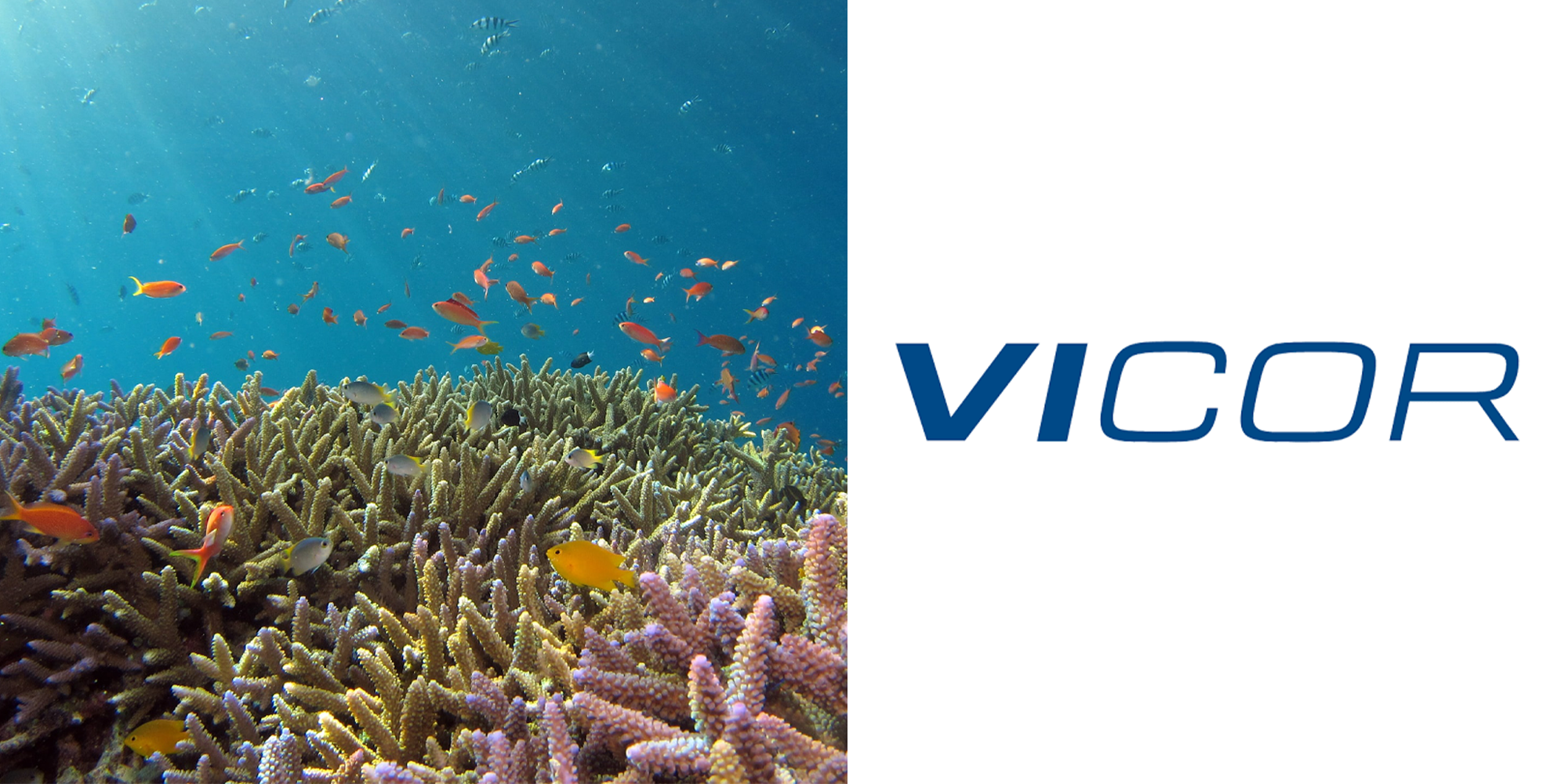 Vicor’s DC-DC Converters Help to Rebuild Coral Reef - News