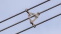 Introduction to Conductors for Transmission Lines - Technical Articles