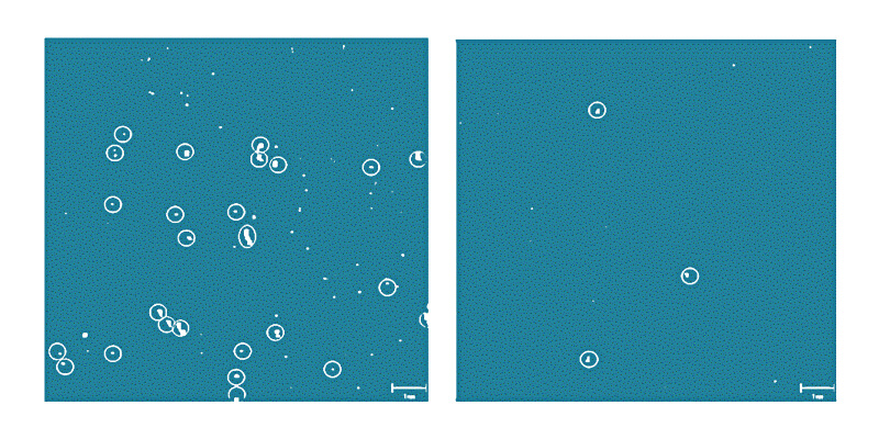 Game Changers in SiC Power Device Performance and Reliability ...